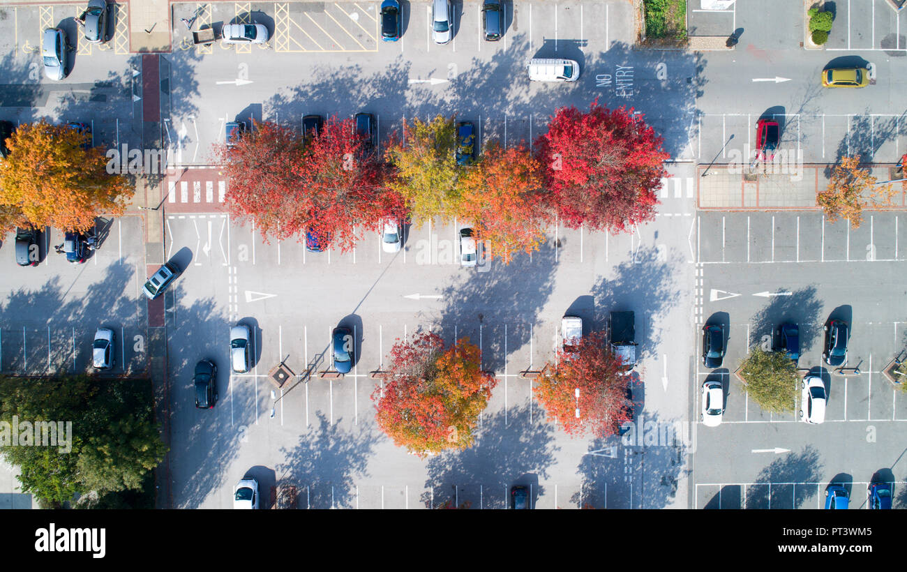 Trees changing to there autumn colours in a car park near Brandon ...