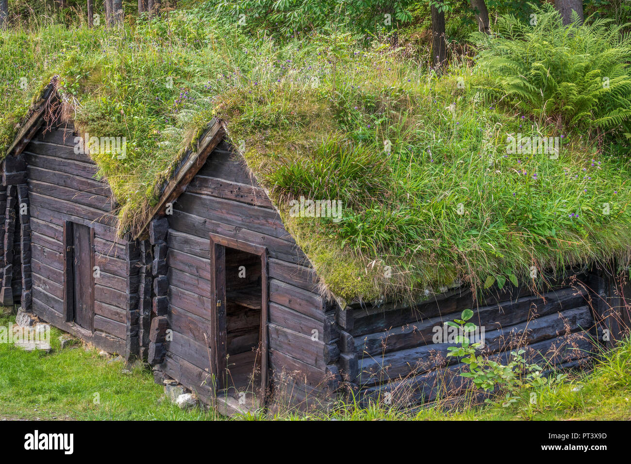 Wooden Buildings With Turf Roofs, Sunnmore Museum, Alesund, Norway ...