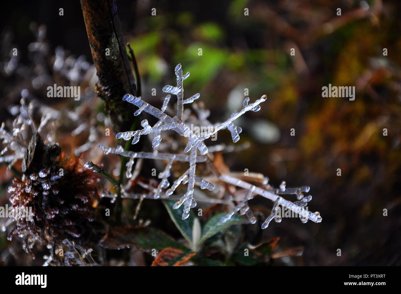 Natural viet nam hi-res stock photography and images - Alamy