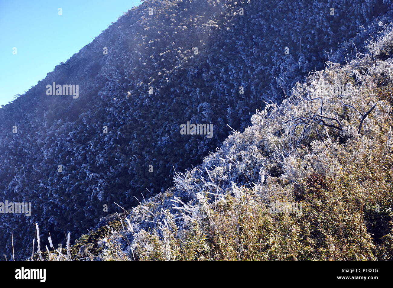 Ice slope hi-res stock photography and images - Alamy