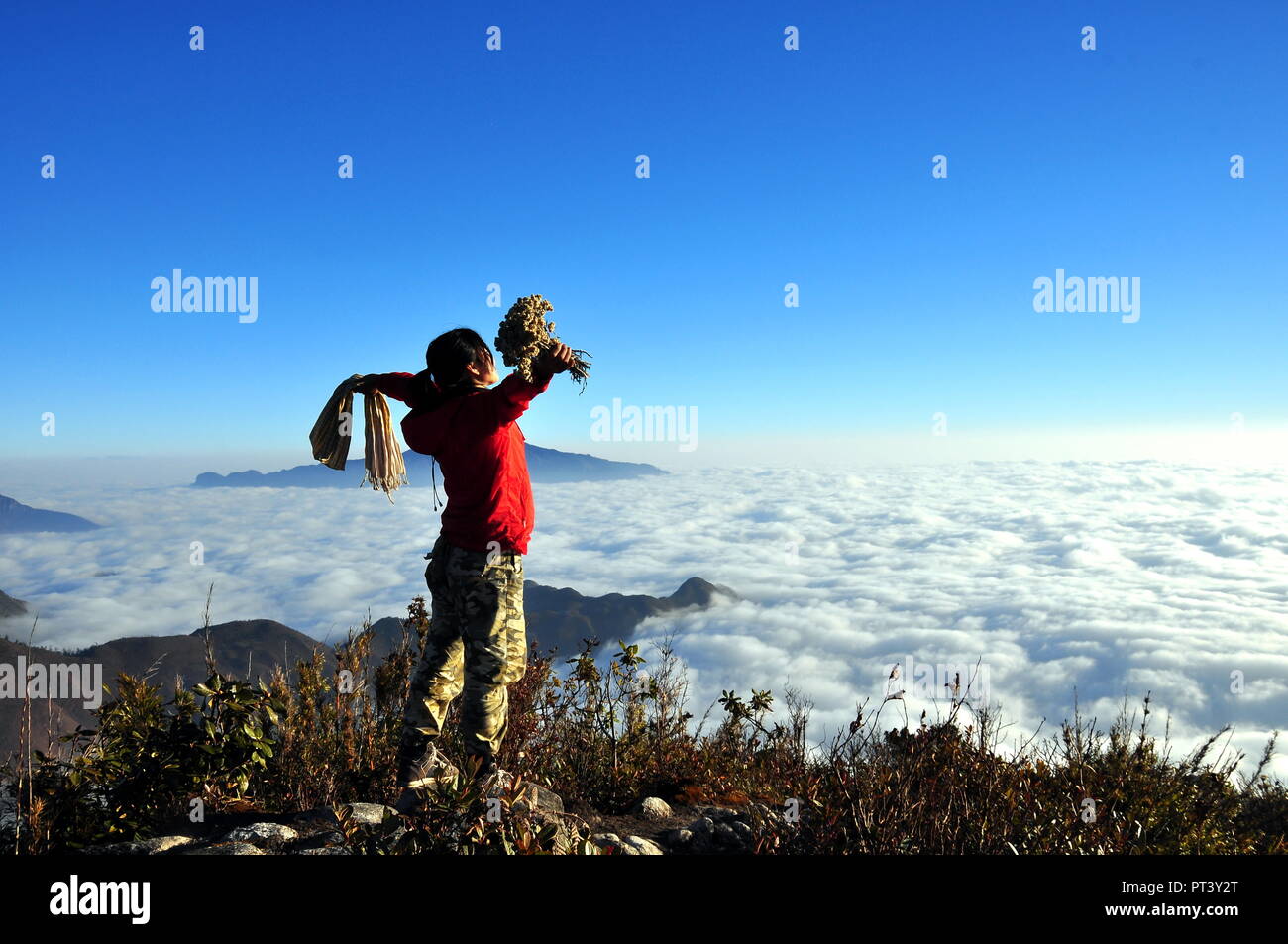 Go sightseeing on the top of the moutain - The view on the Bach Moc ...