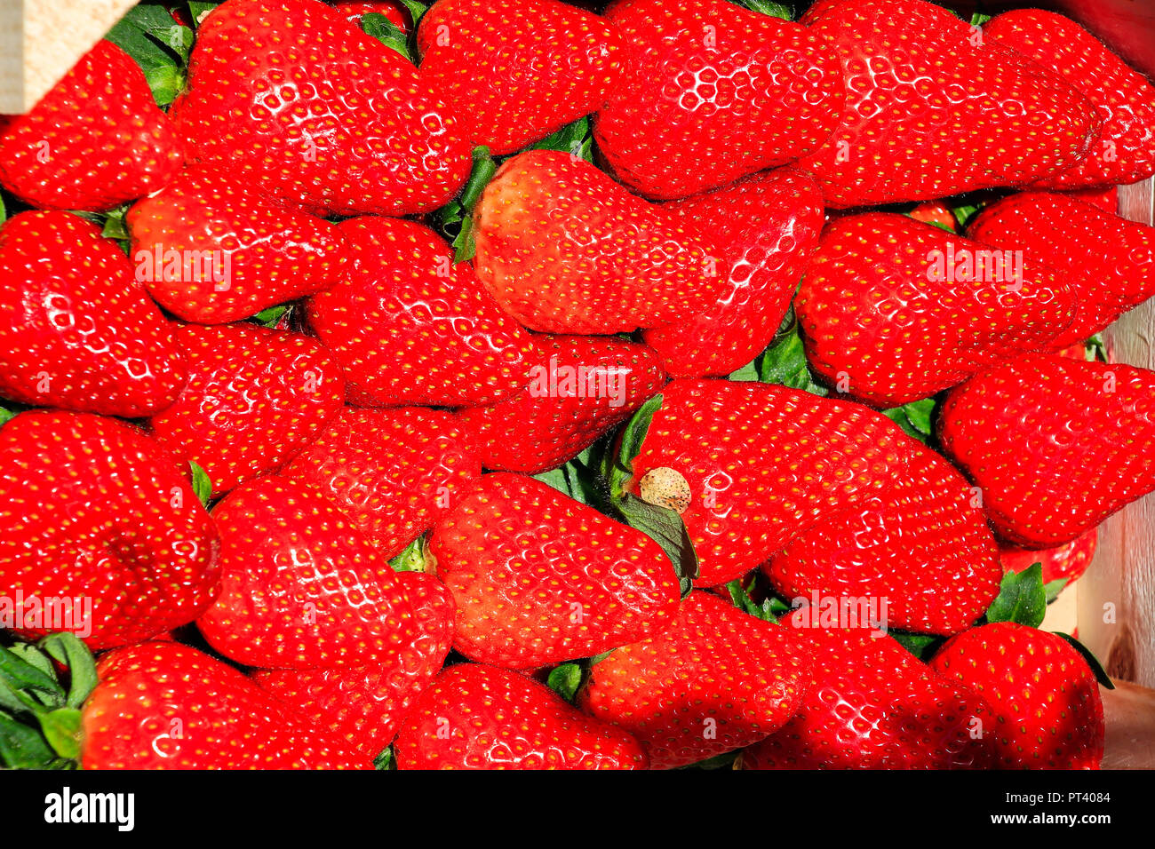 Farm fresh strawberrys Stock Photo - Alamy
