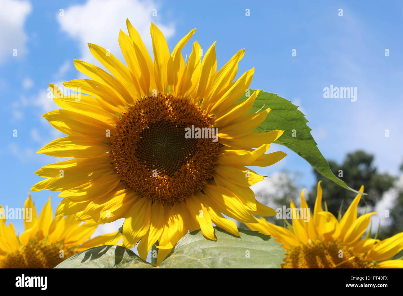 Beth watson photographer hi-res stock photography and images - Alamy