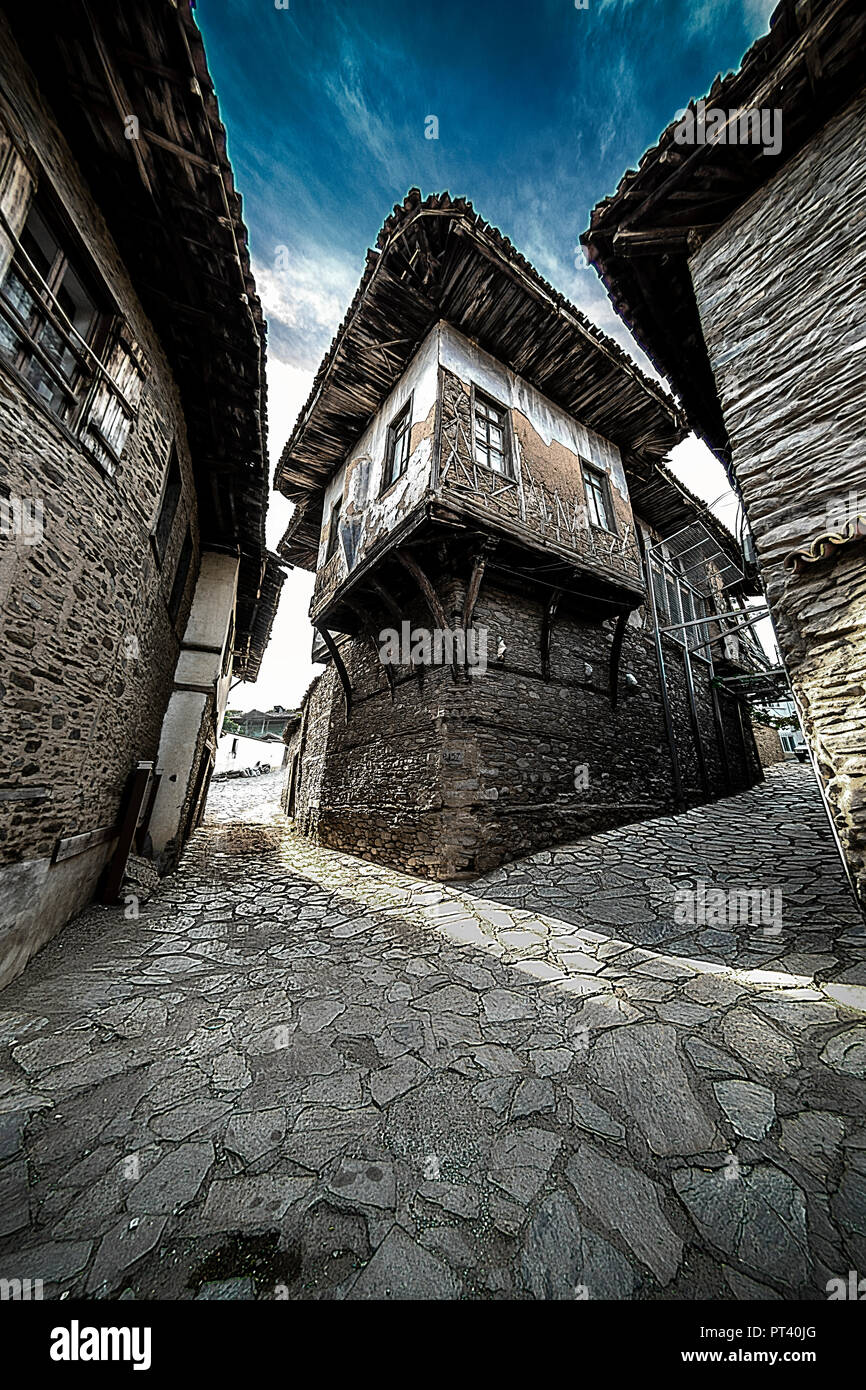 Turkish walnut trees hi-res stock photography and images - Alamy