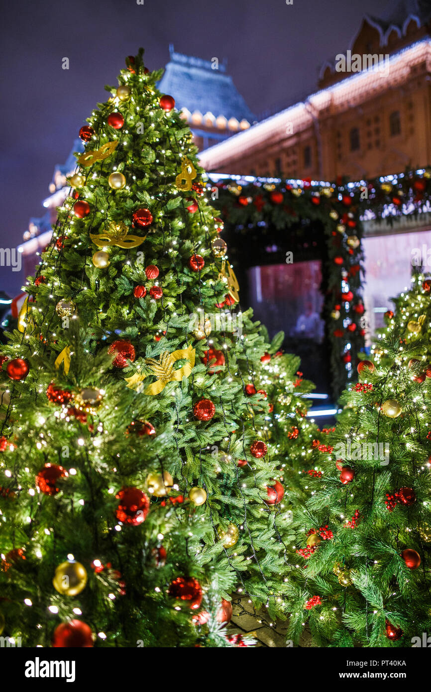 Christmas evergreen trees inside hi-res stock photography and images ...