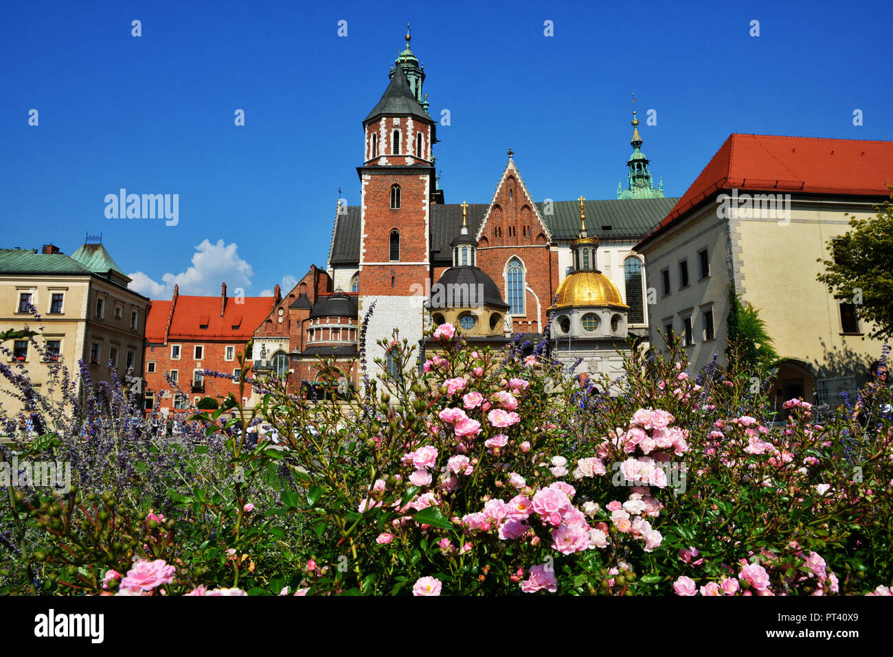 Beautiful sightseeing with Wawel Royal Castle and colorful flowers in ...