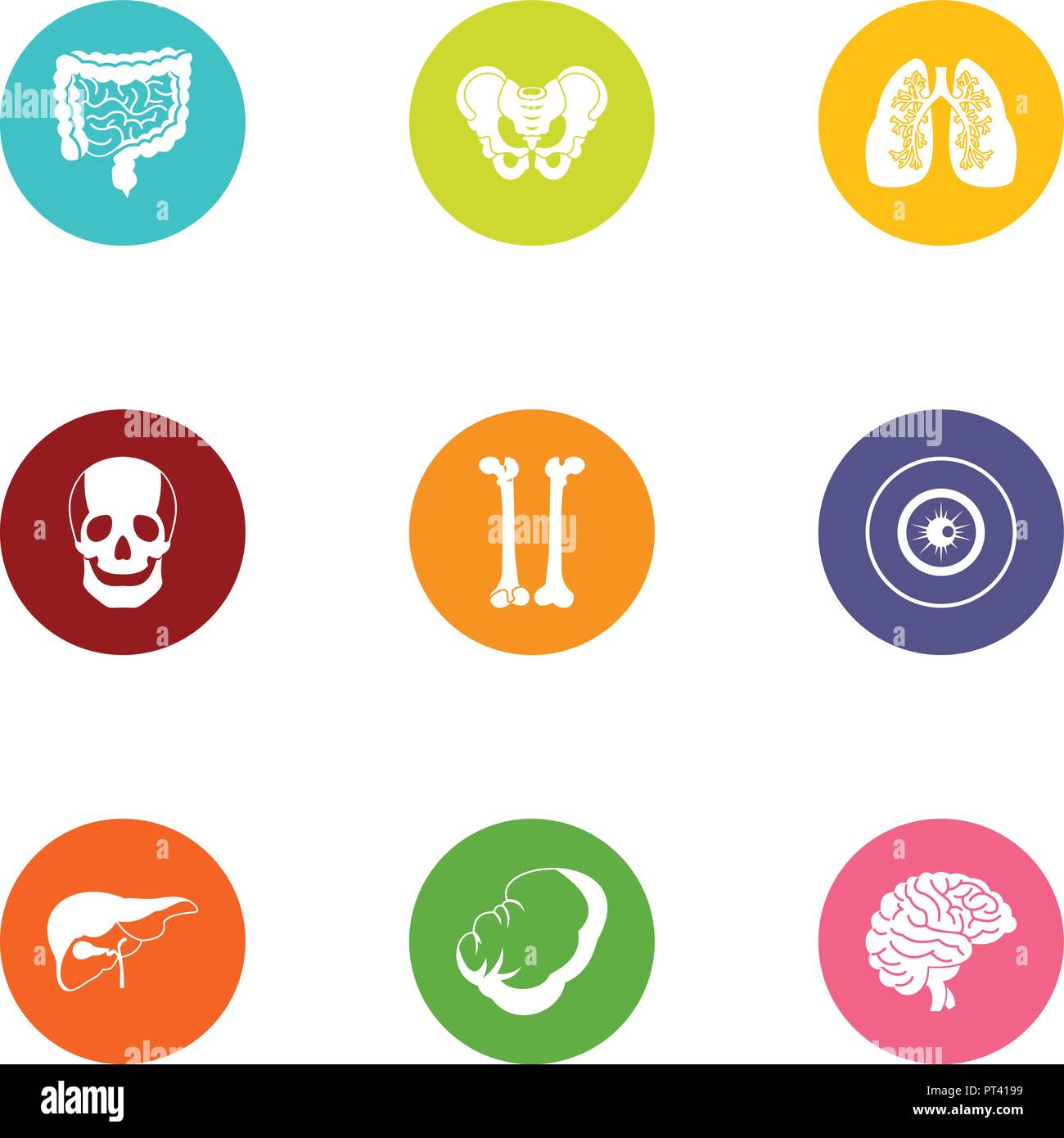 Carcass body Stock Vector Images - Alamy