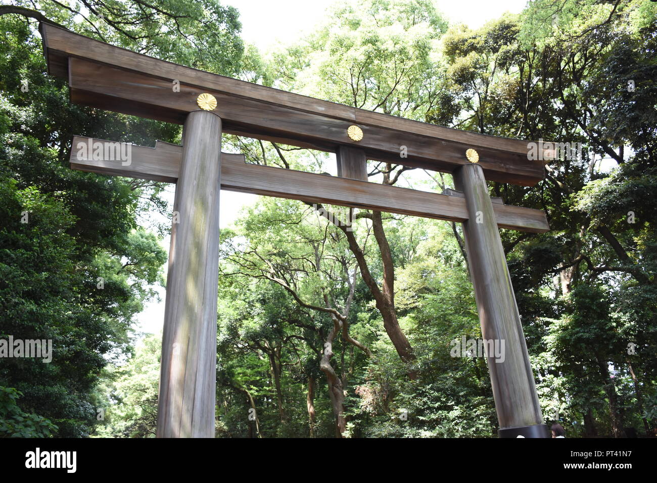 Tori gate hi-res stock photography and images - Alamy