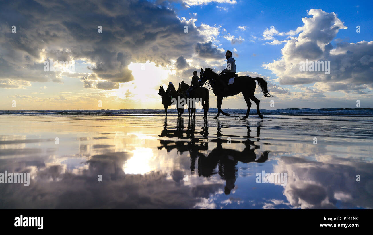 A photo of Horsemen riding horses - Gaza, Palestine Stock Photo - Alamy