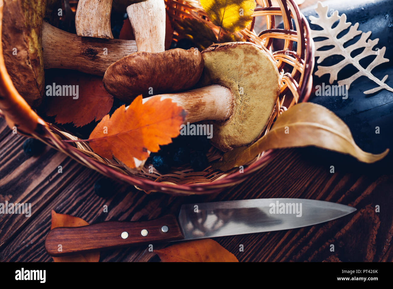 Porcini mushrooms in basket with berries and nuts on wooden table ...