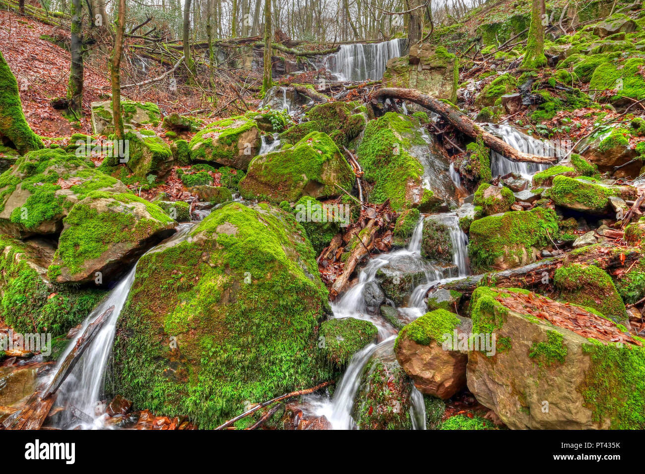 Taben rodt hi-res stock photography and images - Alamy