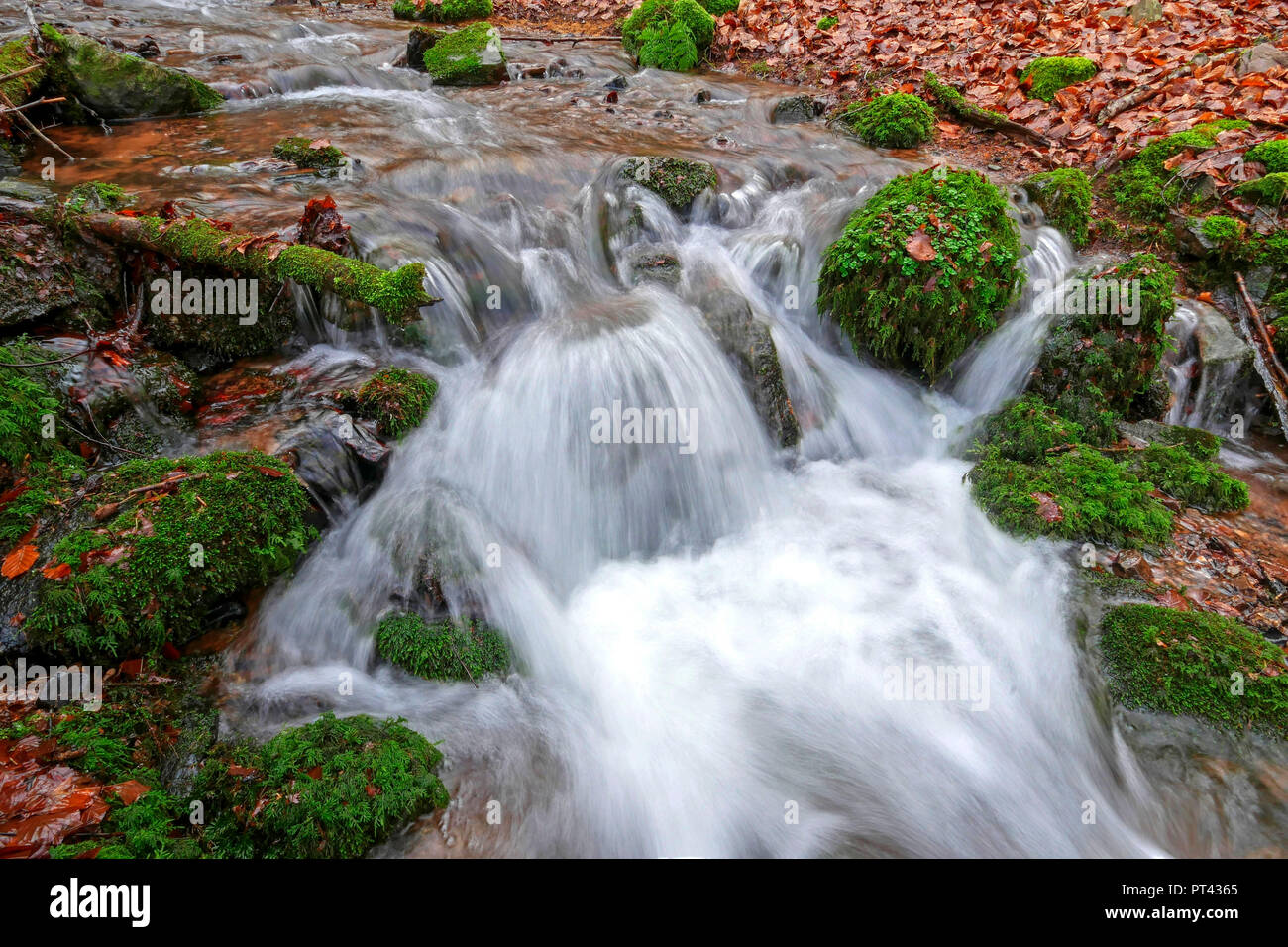Wenichbach hi-res stock photography and images - Alamy