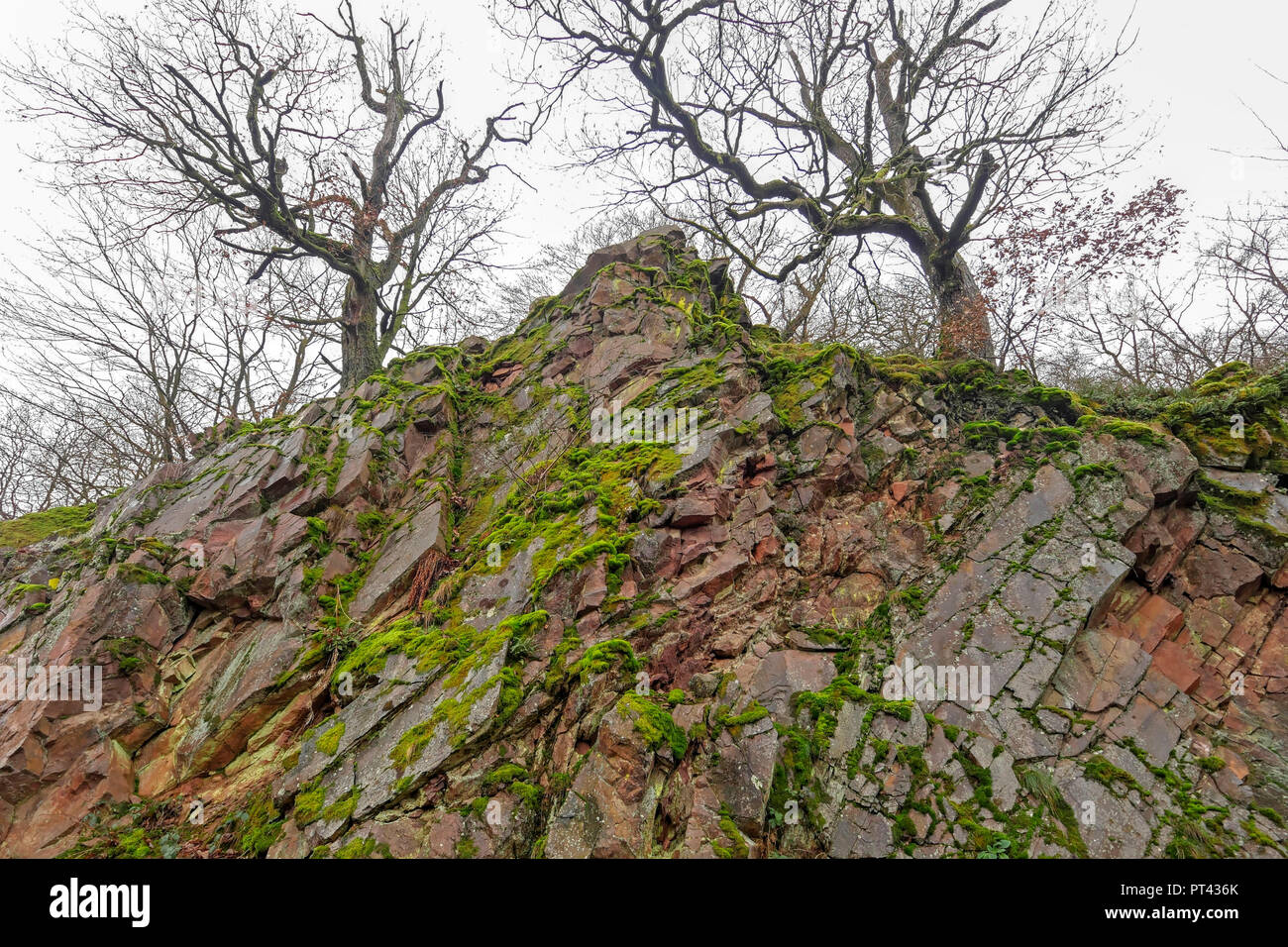 Quartzite rock in the Tabener Jungle nature reserve near Taben-Rodt ...