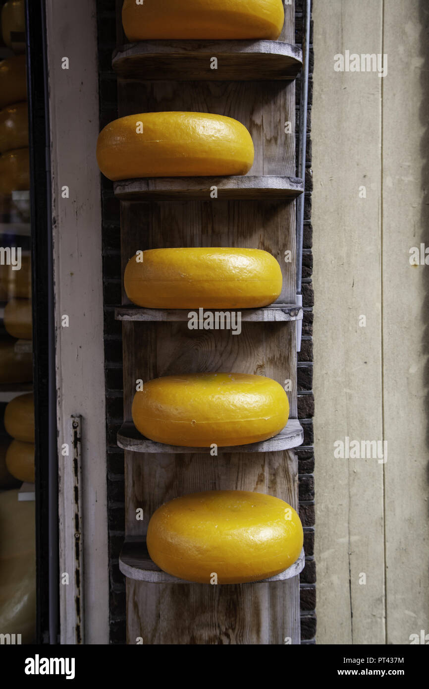 Artisan edam cheese, detail of Dutch cheese making Stock Photo - Alamy