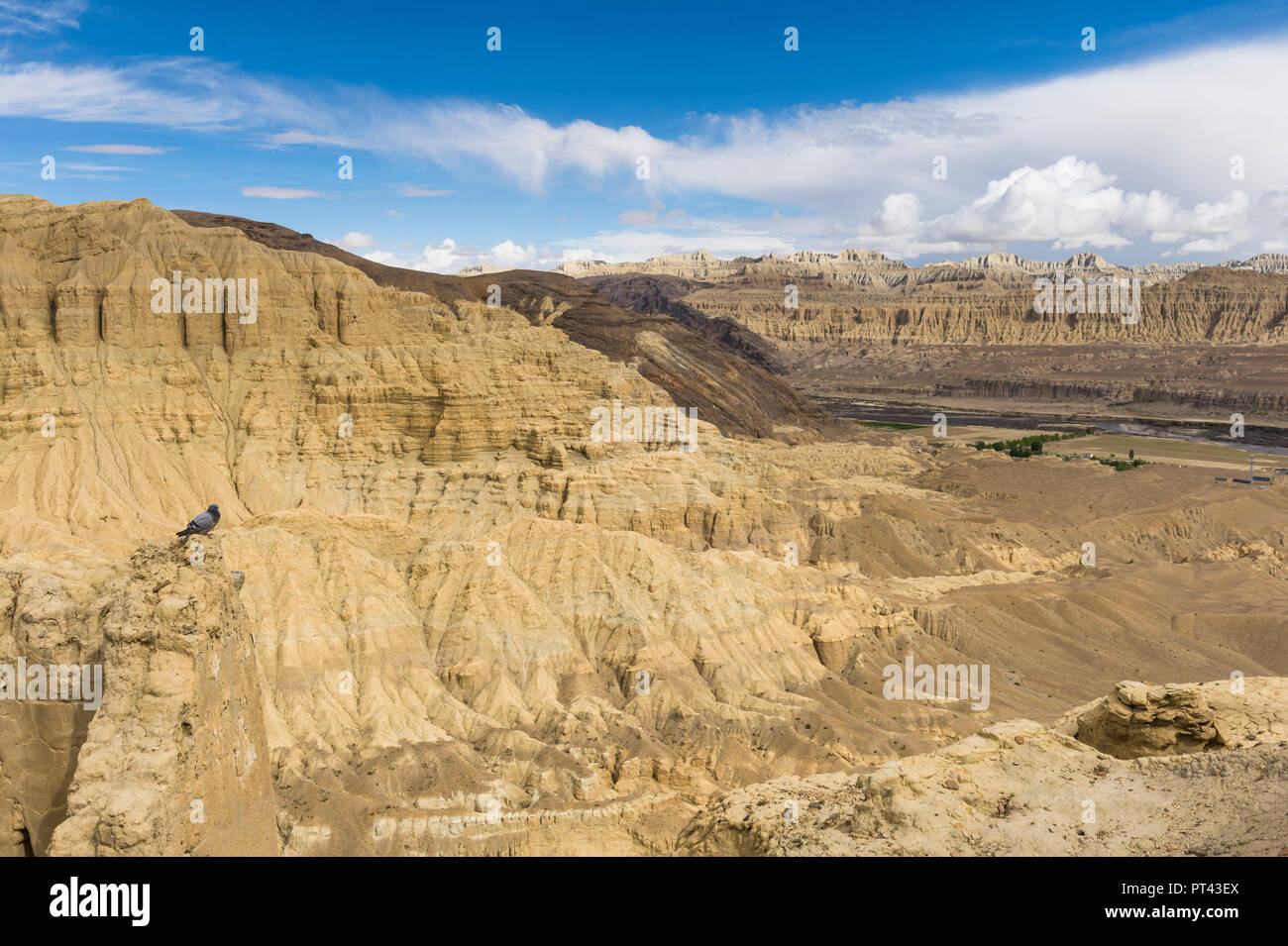 Kyunglung monastery hi-res stock photography and images - Alamy