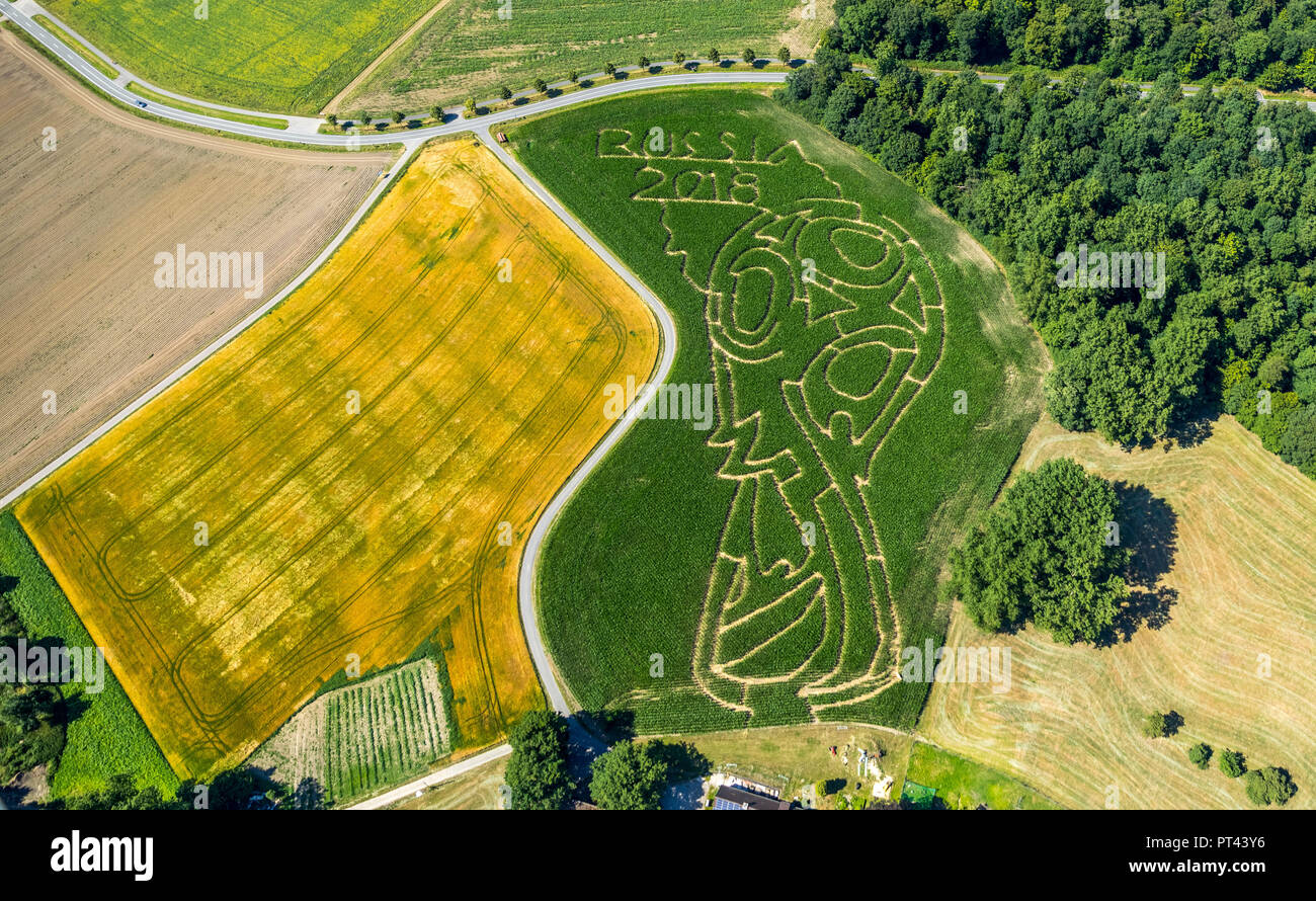 Corn labyrinth with russian football emblem in cappenberg hi-res stock ...