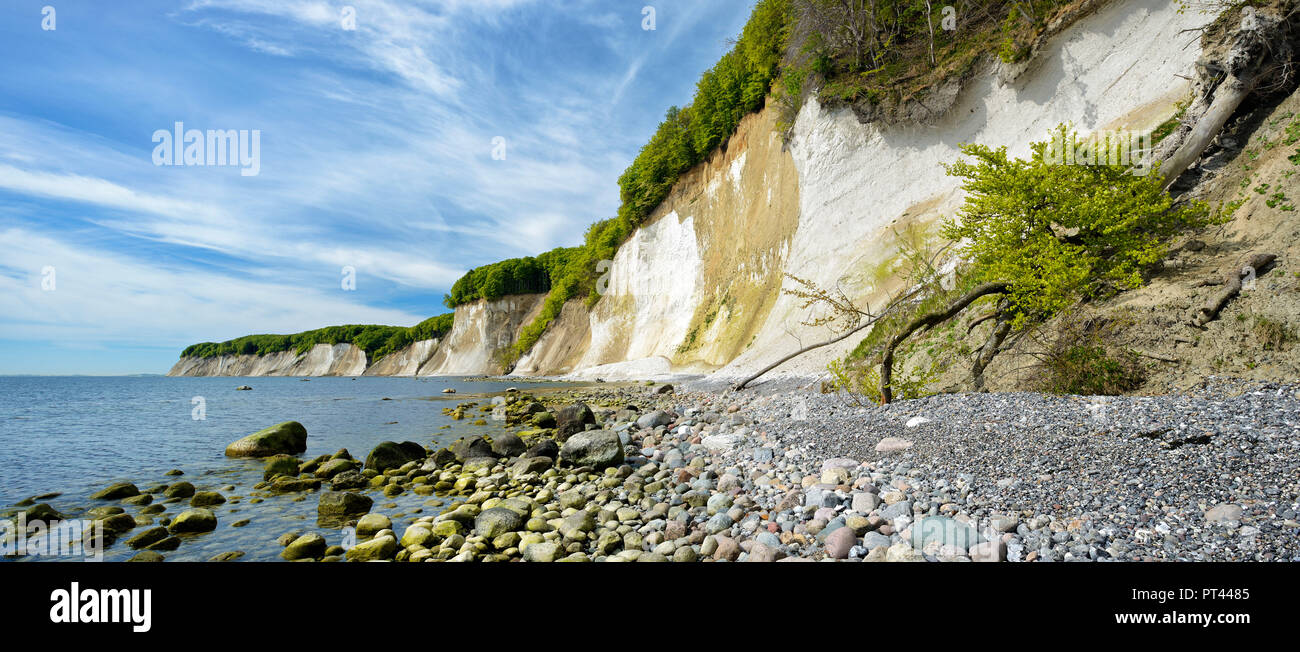 Coastal coastal tree hi-res stock photography and images - Alamy