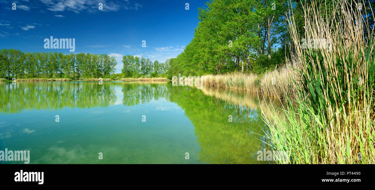 Pond landscape hi-res stock photography and images - Alamy