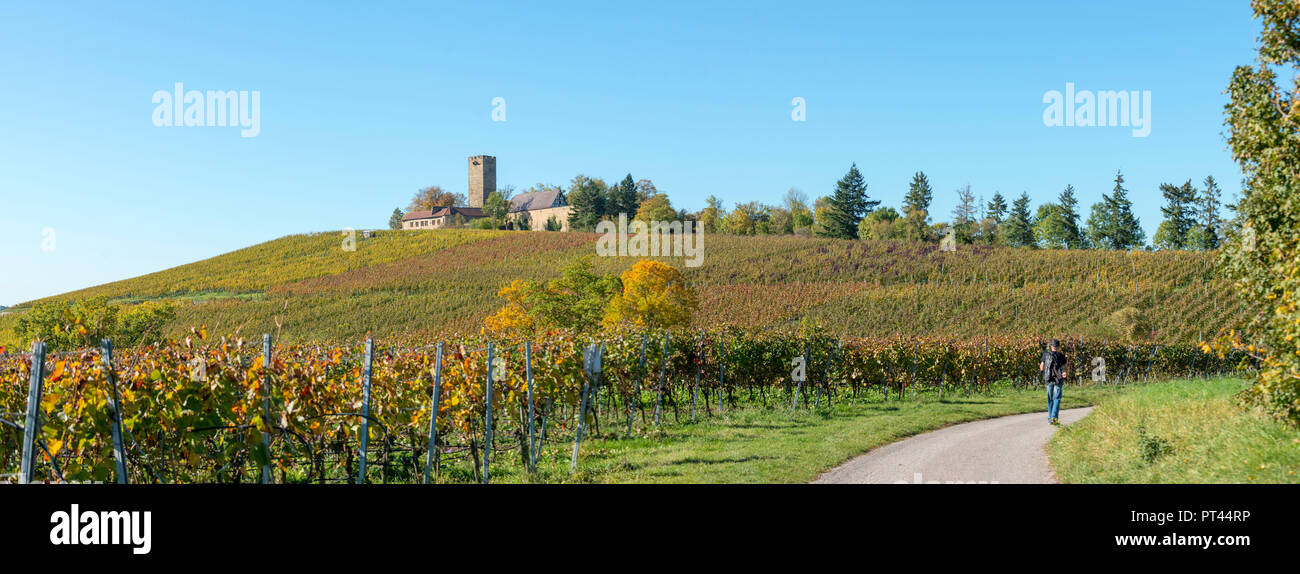 Germany, Baden-Württemberg, Kraichgau, Ravensburg Castle, former ...