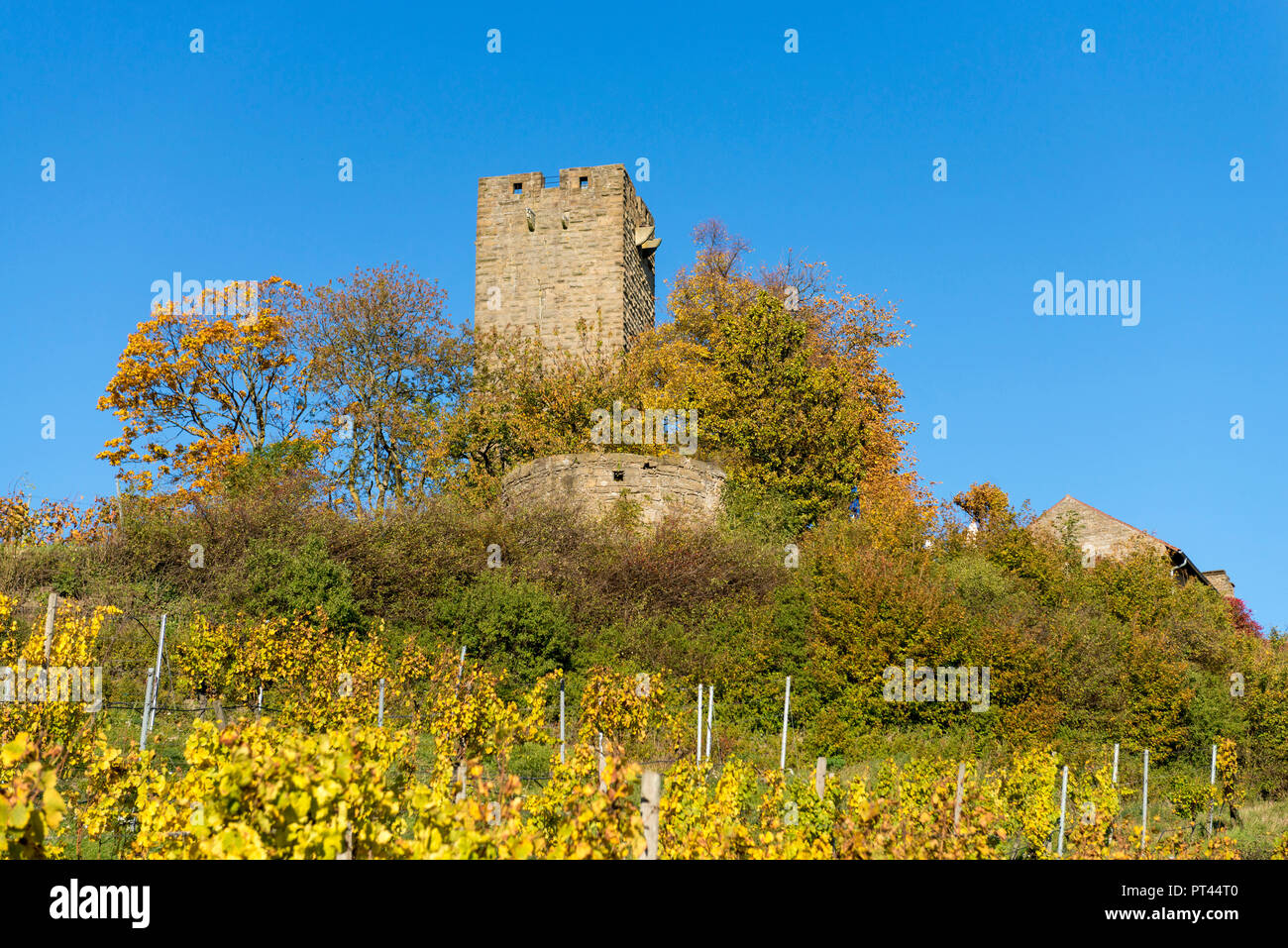 Germany, Baden-Württemberg, Kraichgau, Ravensburg Castle, former ...