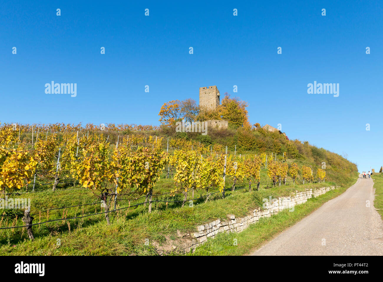 Germany, Baden-Württemberg, Kraichgau, Ravensburg Castle, former ...