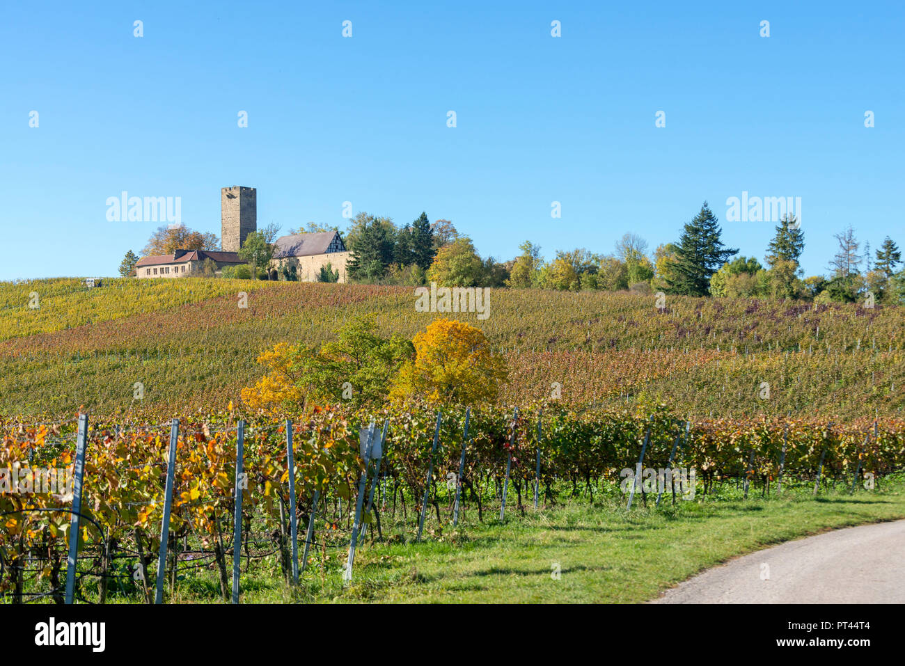 Germany, Baden-Württemberg, Kraichgau, Ravensburg Castle, former ...