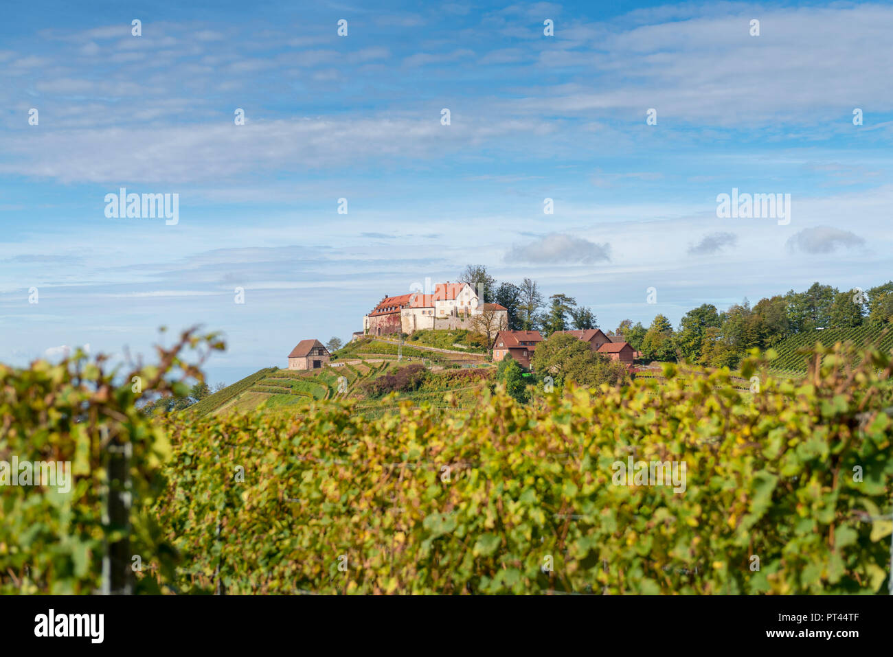 Stauffenberg castle hi-res stock photography and images - Alamy