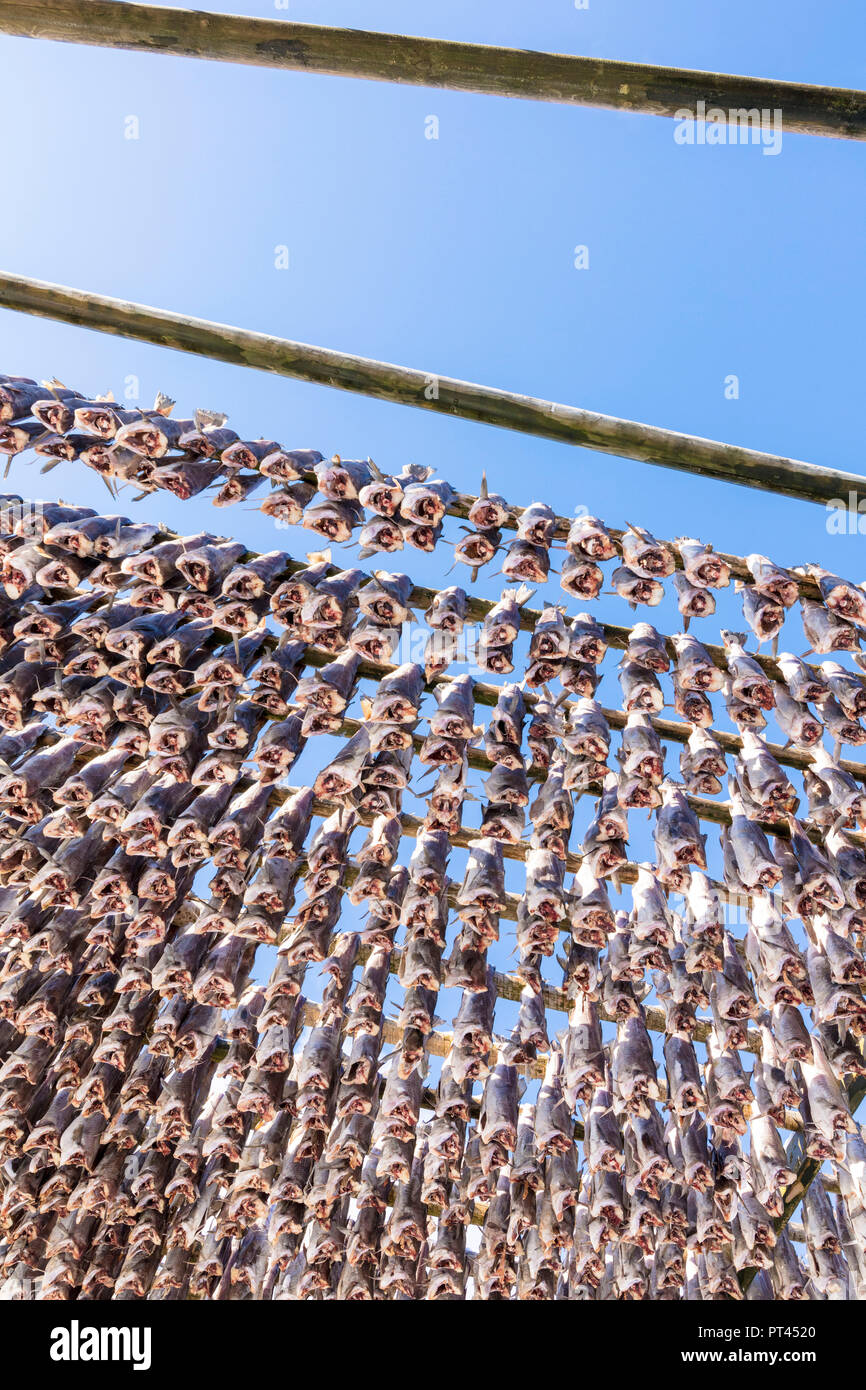 Racks hi-res stock photography and images - Alamy