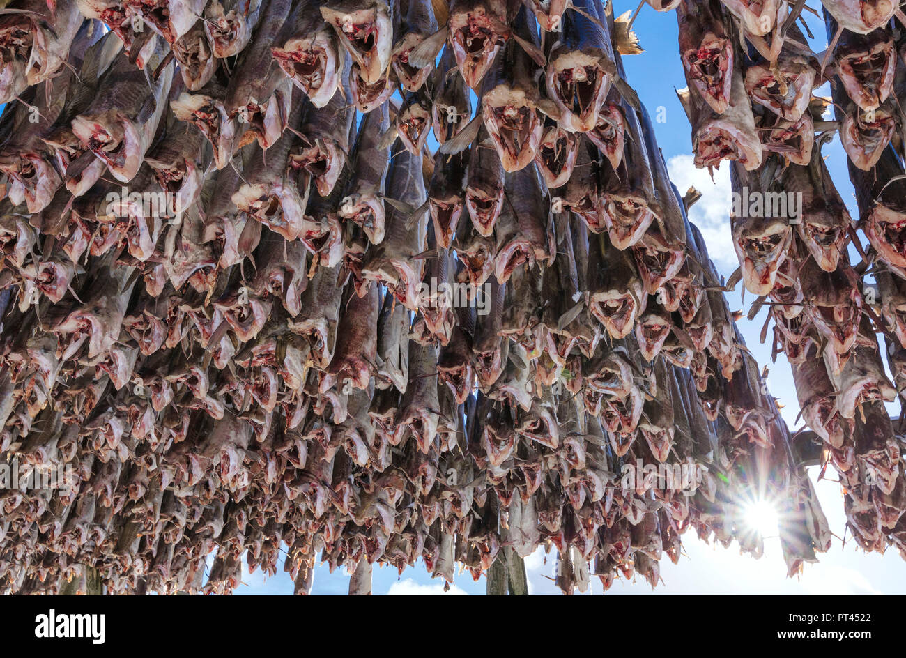 Wooden racks for drying fish hi-res stock photography and images - Alamy