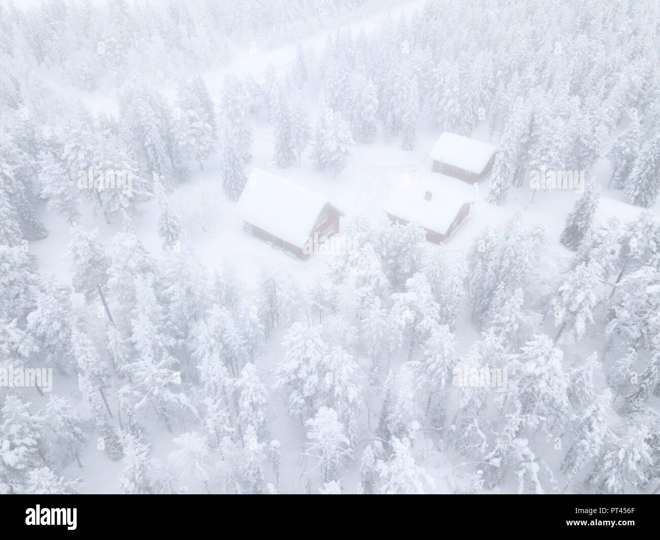 Aerial view of huts in the snow covered forest, Levi, Kittila, Lapland ...