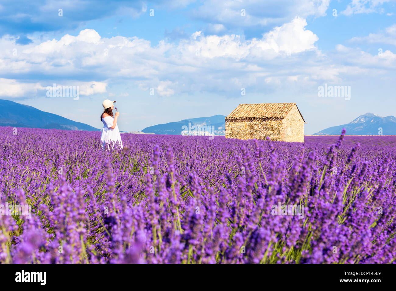 Valensole provence france hi-res stock photography and images - Alamy