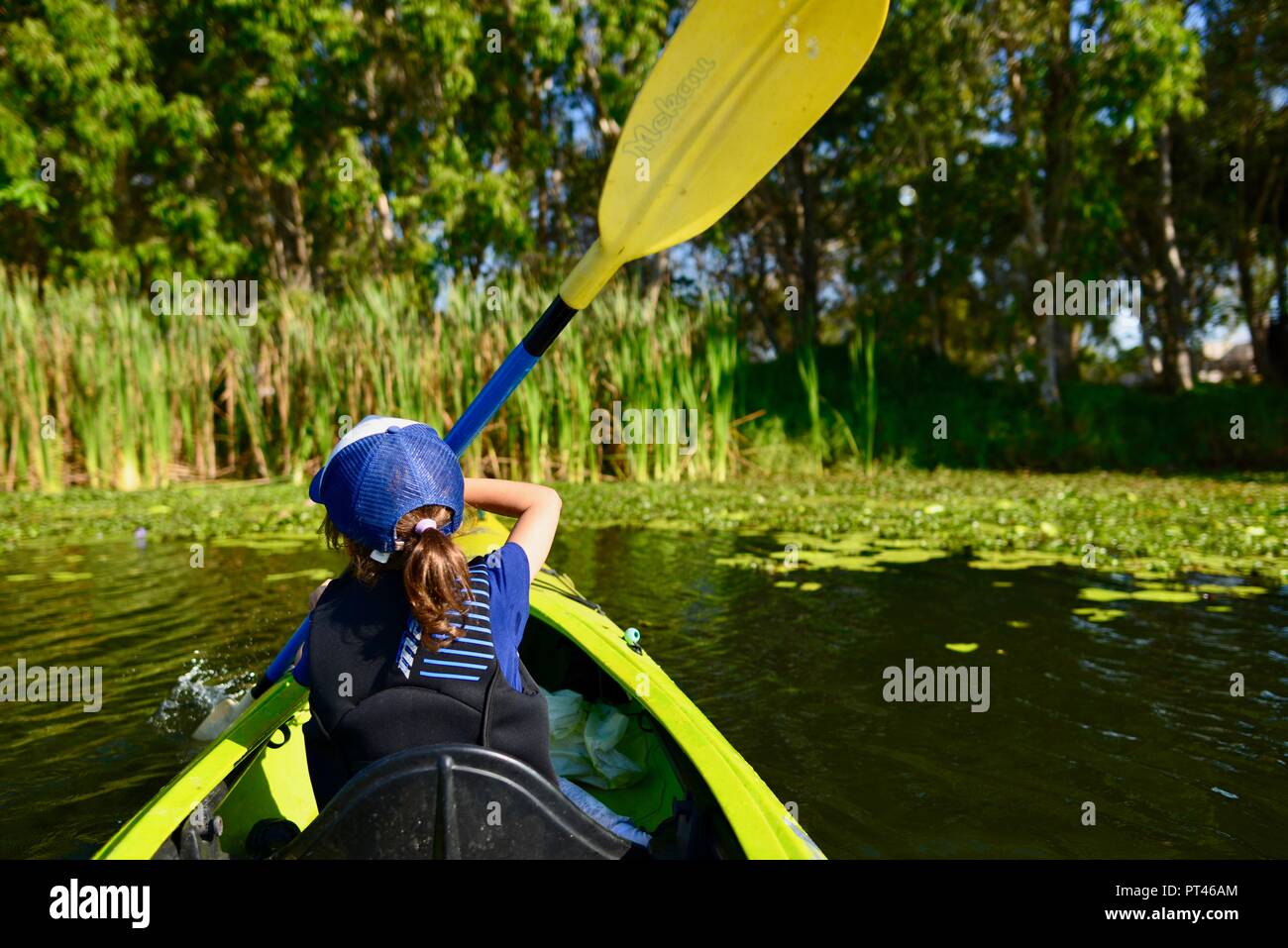 Children paddling in a canoe in beautiful weather, Ross River QLD ...