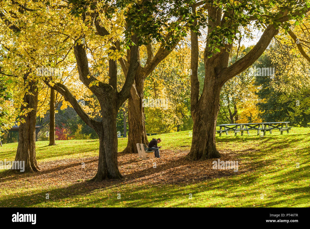 Canada, Quebec, Quebec City, Plains of Abraham, autumn Stock Photo - Alamy