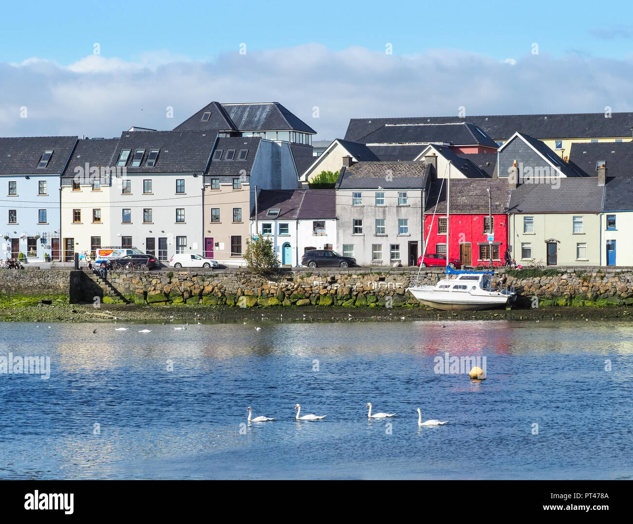 Galway birds hi-res stock photography and images - Alamy
