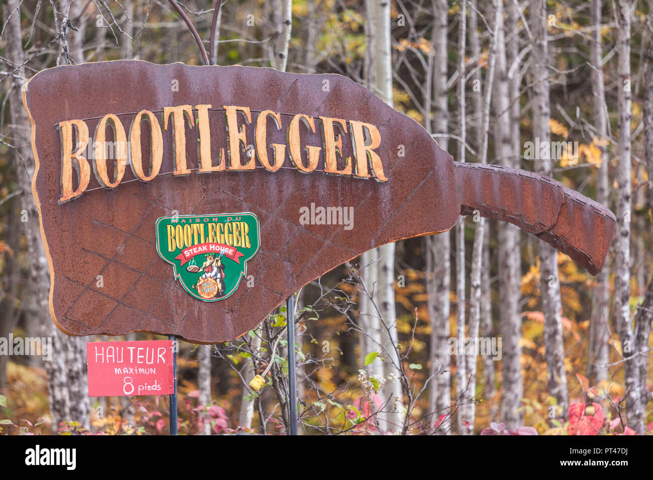 Bootlegger hi-res stock photography and images - Alamy