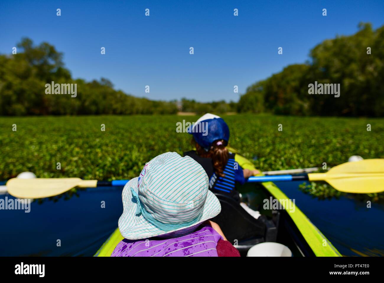 Children paddling in a canoe in beautiful weather, Ross River QLD ...