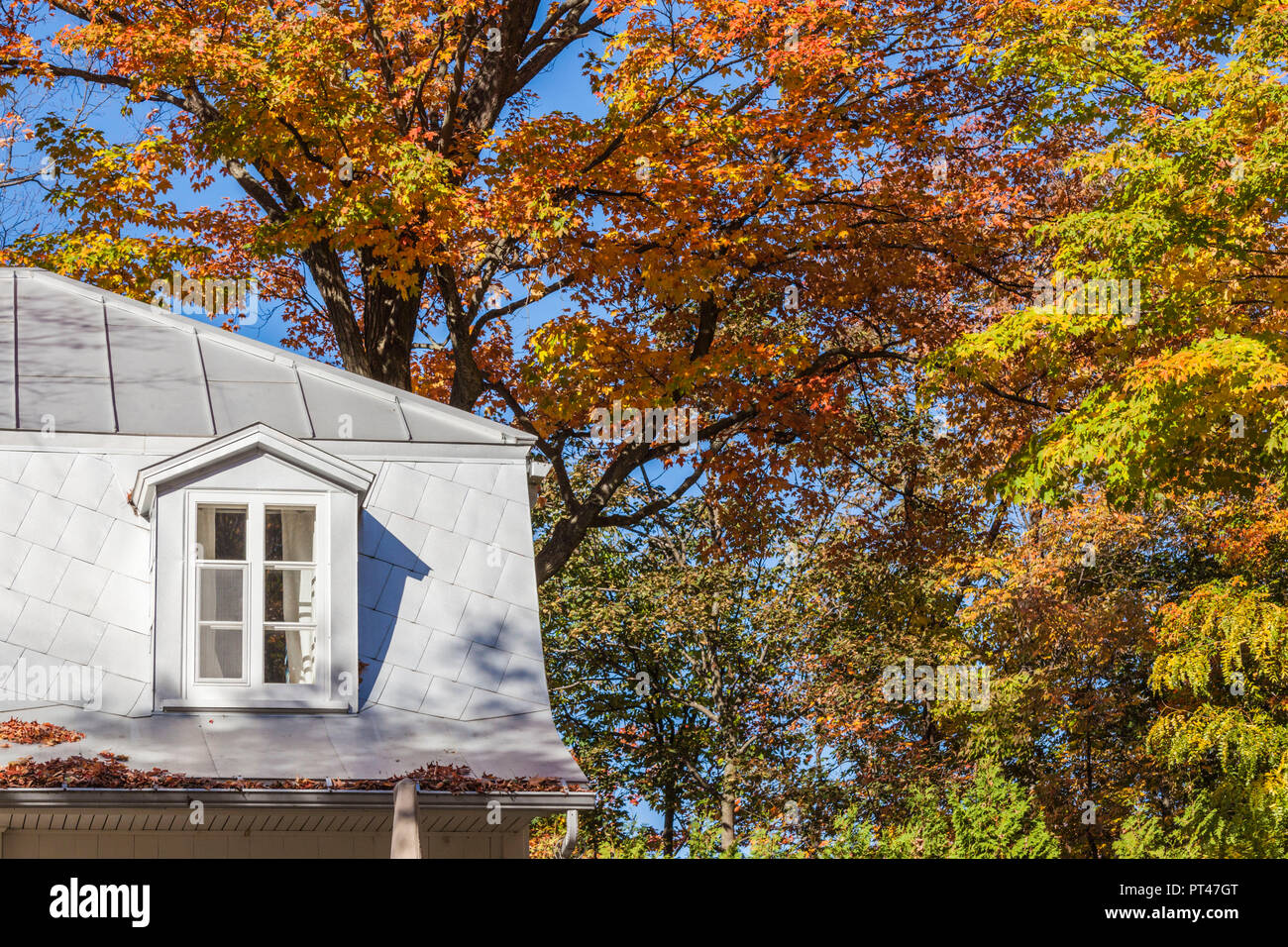 Traditional canadian house hi-res stock photography and images - Alamy