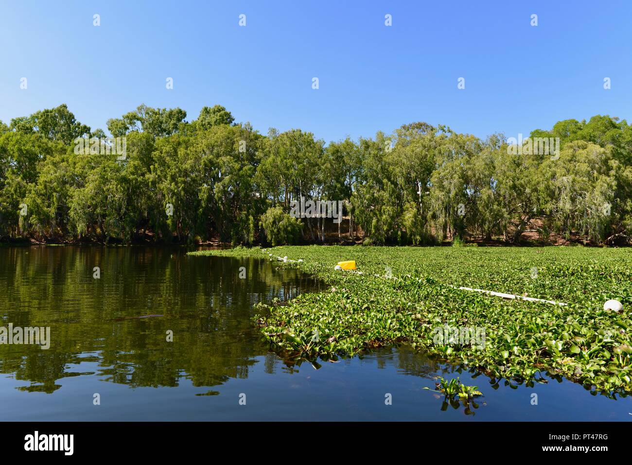 Children paddling in a canoe in beautiful weather, Ross River QLD ...