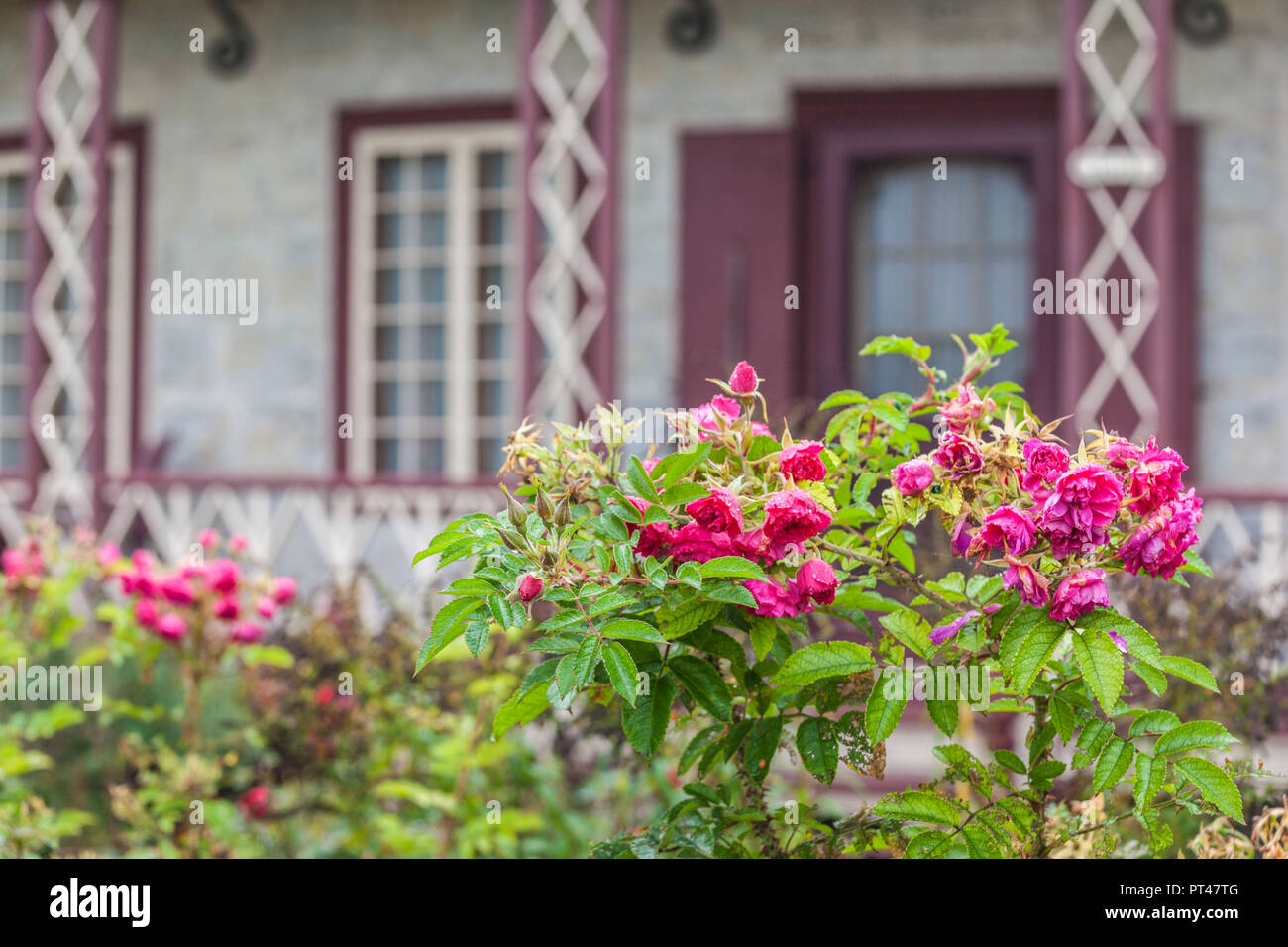 Deschambault hi-res stock photography and images - Alamy