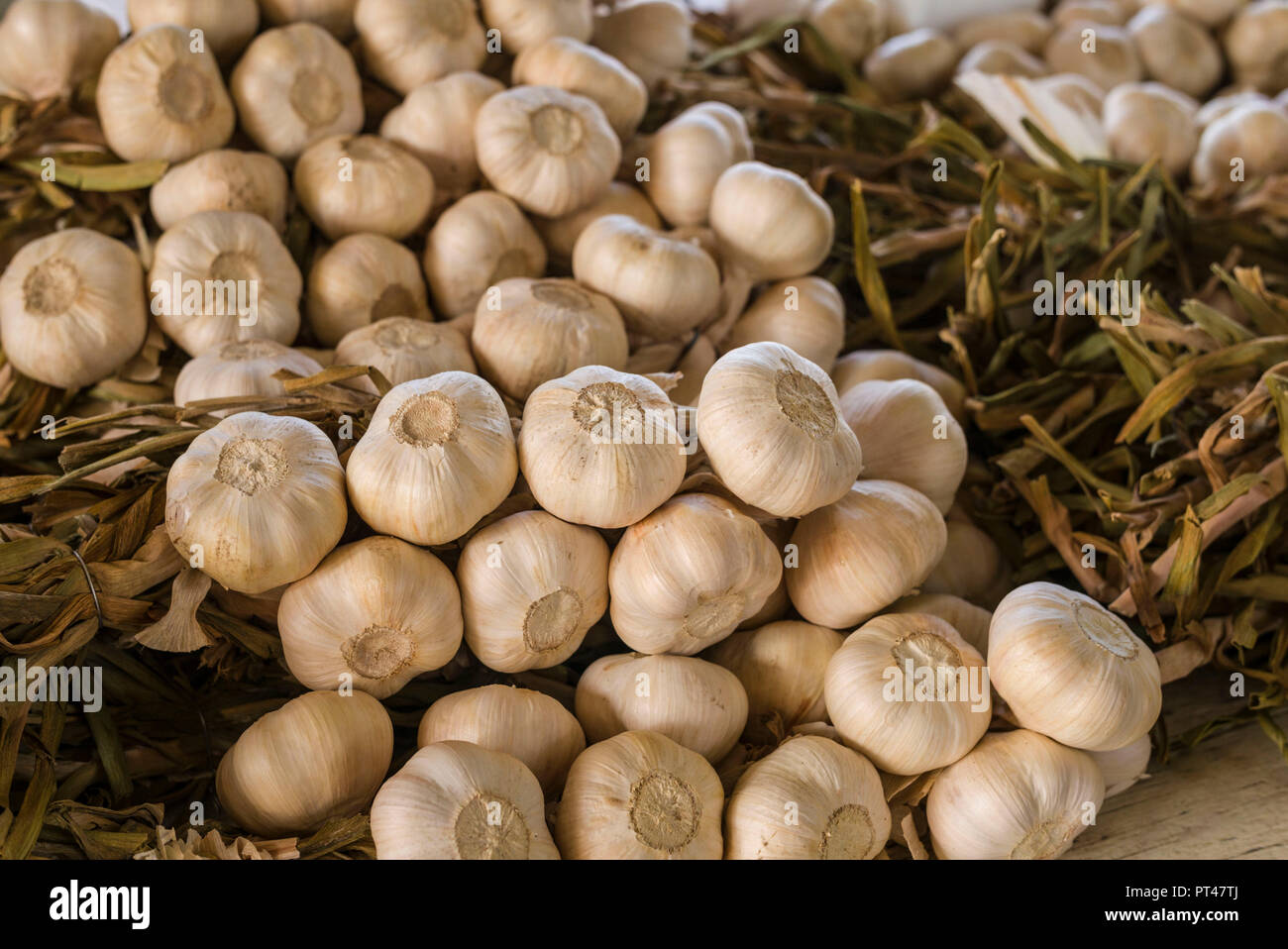 Cloves of garlic hi-res stock photography and images - Alamy