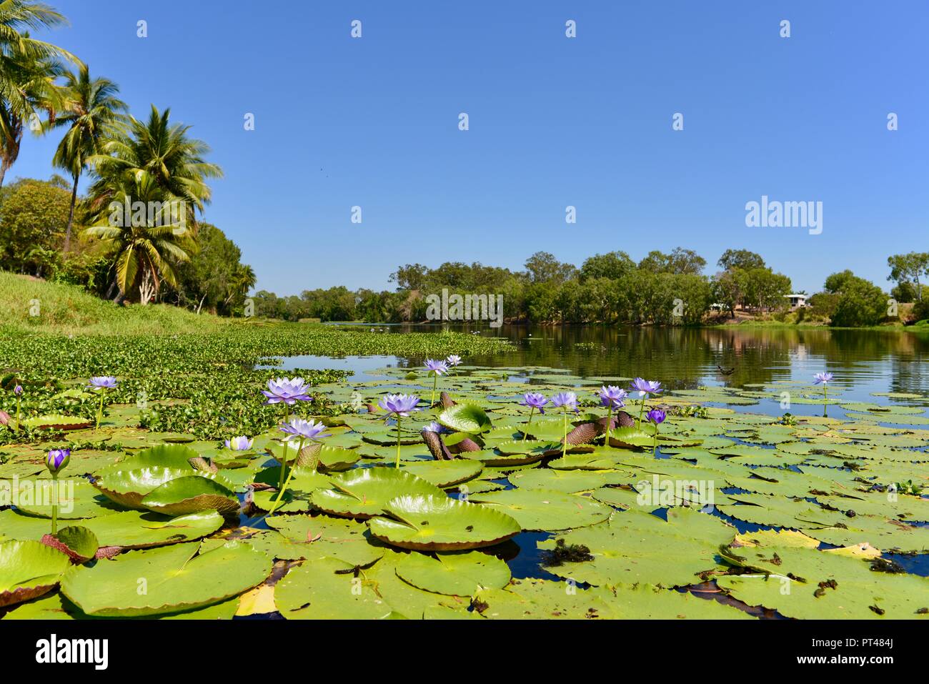 Children paddling in a canoe in beautiful weather, Ross River QLD ...