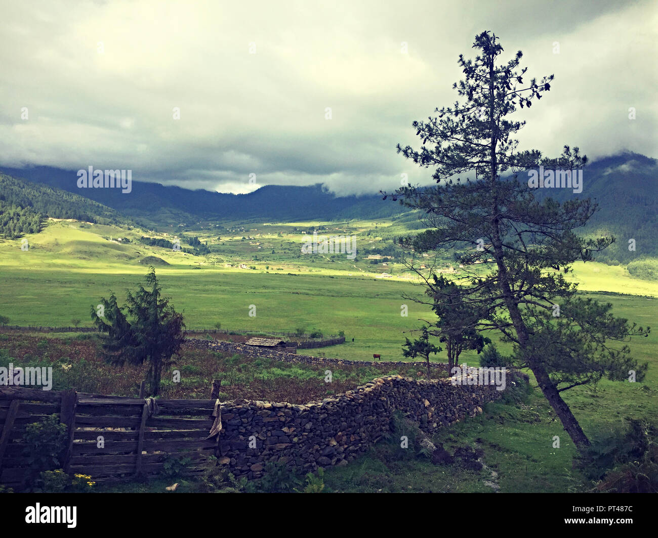 Phojikha Valley - Wangduephodrang, Bhutan Stock Photo - Alamy