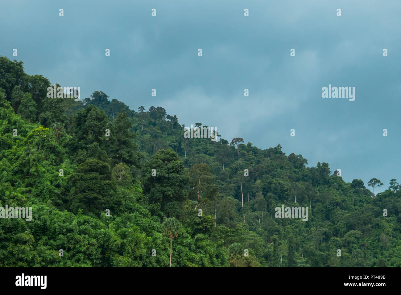 Tree covered mountain hi-res stock photography and images - Alamy