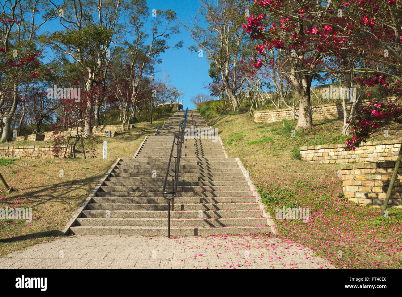Park on Mount Inasa, Nagasaki, Kyushu, Japan Stock Photo - Alamy