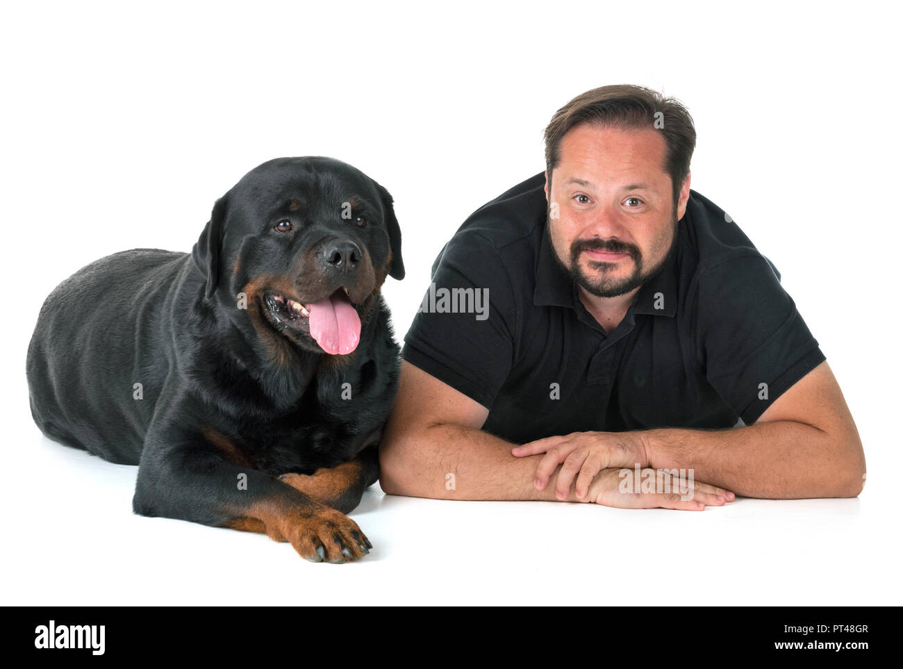 purebred rottweiler and man in front of white background Stock Photo ...