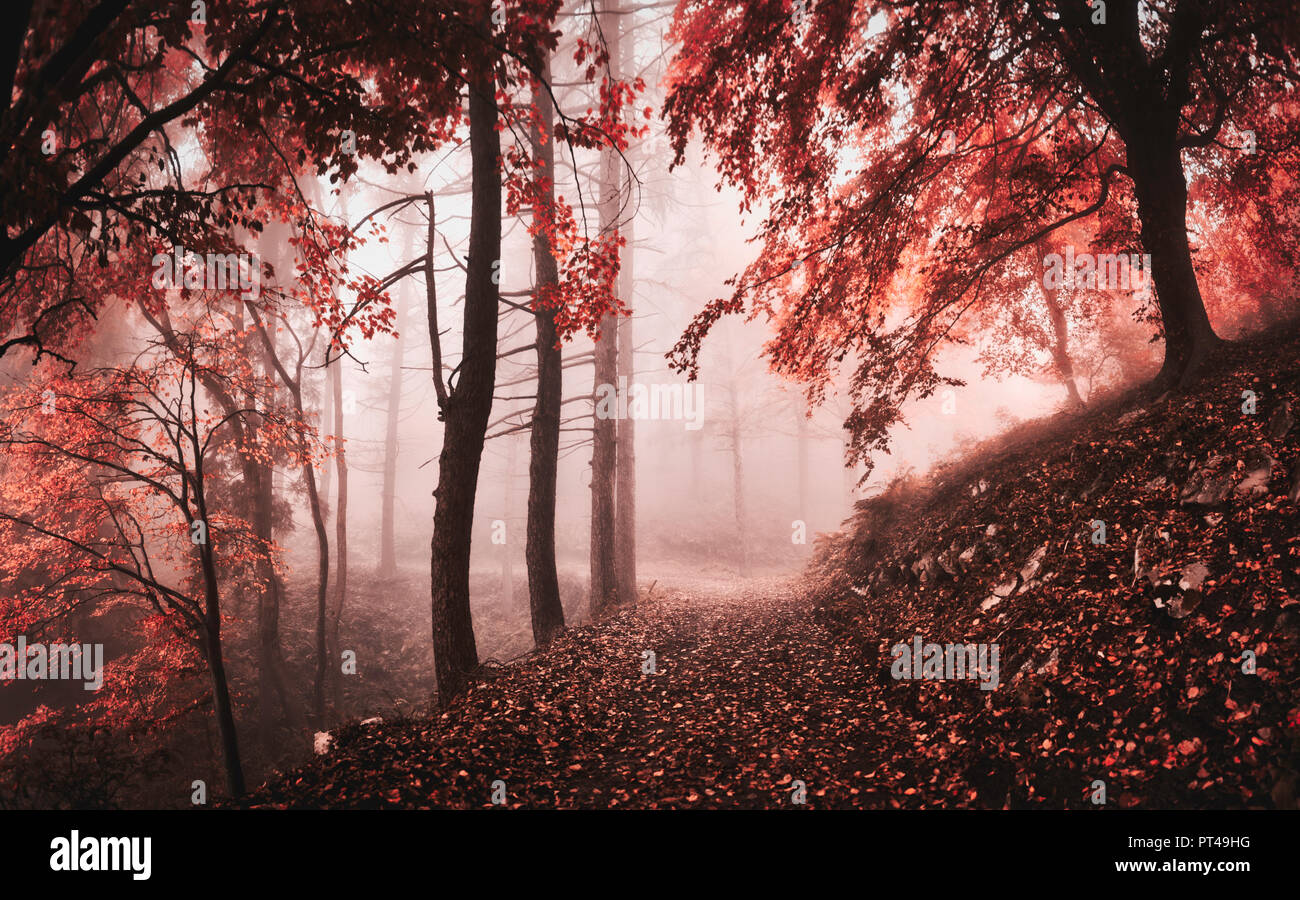 Misty atmosphere hi-res stock photography and images - Alamy