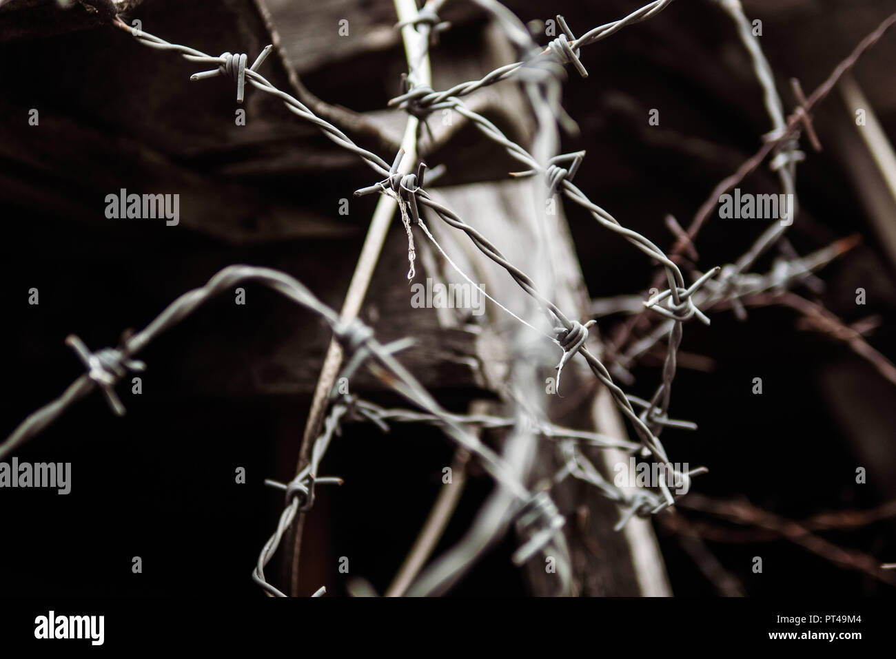 Rusty barbed wire Stock Photo - Alamy