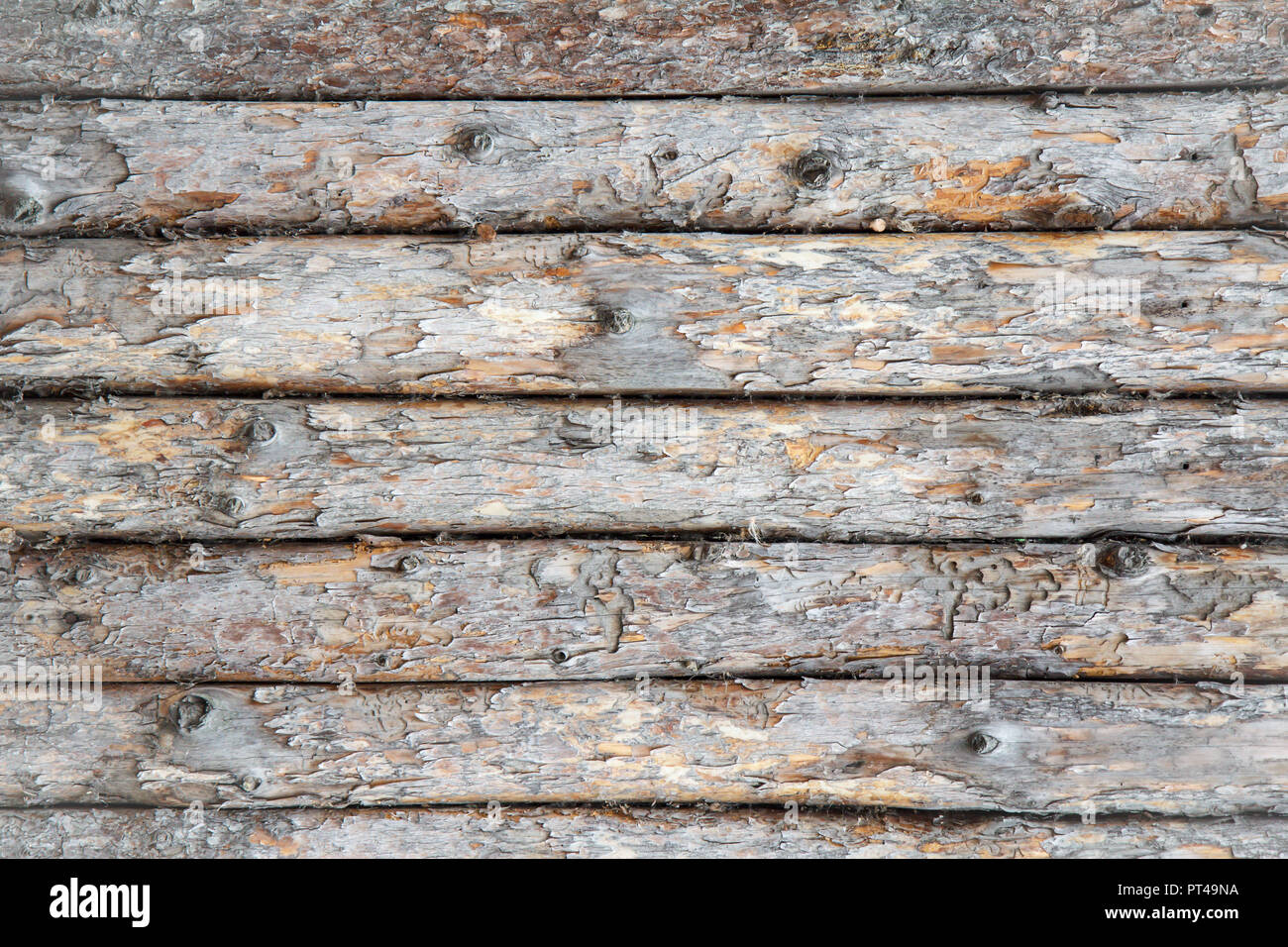 Wooden background with horizontal wood logs of pine Stock Photo - Alamy