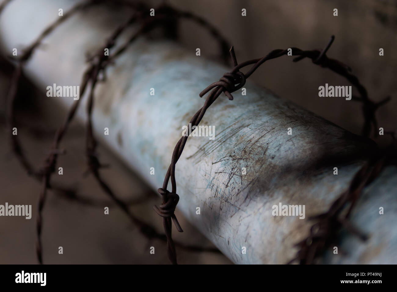 Barbed wire protection Stock Photo - Alamy