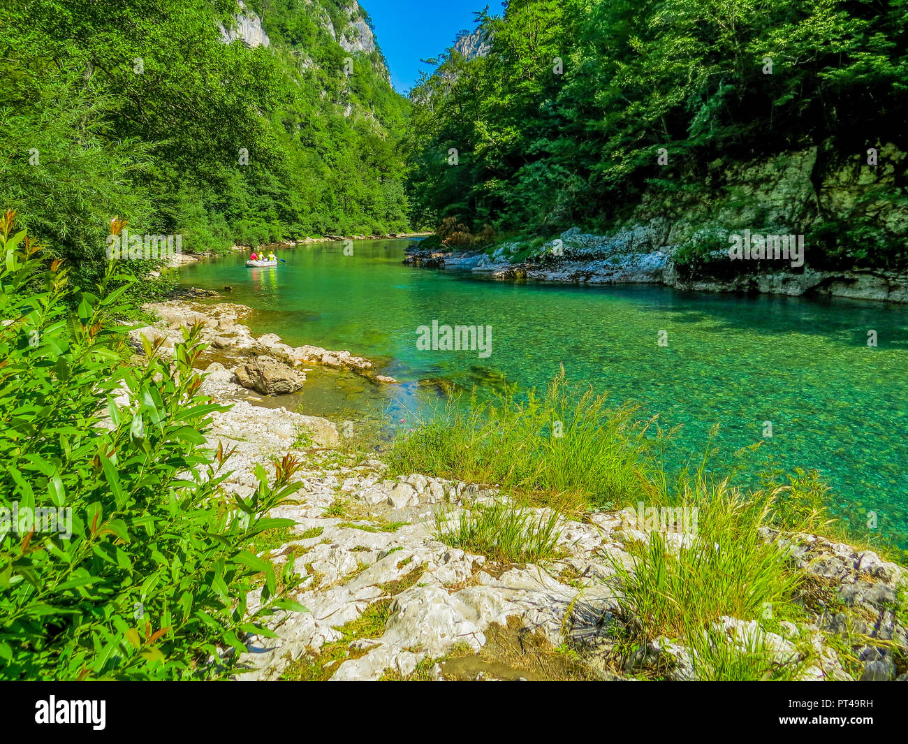 Tara river hi-res stock photography and images - Alamy
